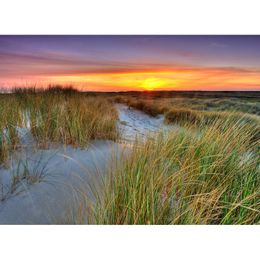 papermoon Fototapete &raquo;Dunes Sunset&laquo; glatt bunt Vlies B/L: 5m x 2,8m, Bahnen: 10 Stk.