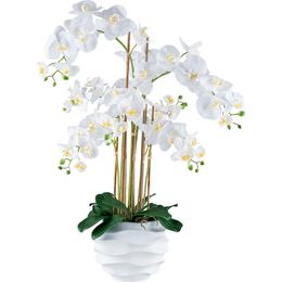Creativ green Kunstorchidee &raquo;Orchidee Phalaenopsis&laquo; im Design-Topf wei&szlig; Kunststoff B/H/L: 90cm, 1 Stk.