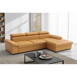 Sit & More sit&more Ecksofa &raquo;Viola, Leder, L-Form, B: 260 cm, mit Armteil- und Kopfteilvertsellung&laquo; optional mit Schlaffunktion beige B/H/T: 260cm x 73cm x 174cm
