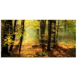 Artland Glasbild &raquo;Herbstlicht im Wald&laquo; Wald 1 Stk. tlg. in verschiedenen Gr&ouml;&szlig;en gr&uuml;n B/H/T: 60cm x 30cm, Glasbild Wald Querformat, 1 Stk.
