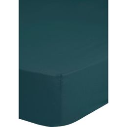 Good Morning Spannbettlaken &raquo;Jersey Spannbettlaken&laquo; 100% Baumwolle, Jersey, Rundumgummi, bis 25 cm h&ouml;he, 90/100x200, Wei&szlig; blau Jersey, Obermaterial: 