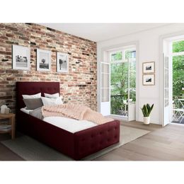 Home Affaire Polsterbett &raquo;Vaine&laquo; in 5 Breiten, auch in L&auml;nge 220 cm, incl. Roll-Lattenrost rot Samtoptik (100% Polyester) Liegefl&auml;che L&auml;nge B: 200cm x