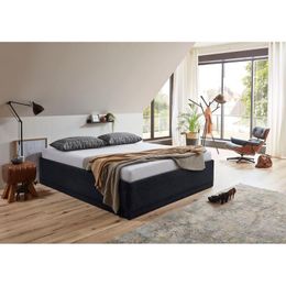 Westfalia Schlafkomfort Polsterbett &raquo;Texel&laquo; Komforth&ouml;he mit Zierkissen, Bettkasten bei Ausf&uuml;hrung mit Matratze schwarz Bezug Bett: Veloursstoff 100% Polyester oder Microfaser