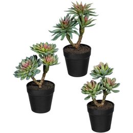 Creativ green Kunstpflanze &raquo;Sukkulenten&laquo; im 3er Set gr&uuml;n Kunststoff B/H/L: 24cm, 3 Stk.