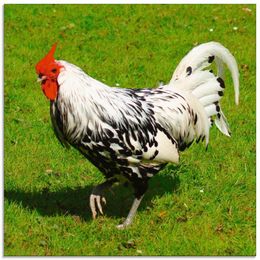 Artland Glasbild &raquo;Gepunktetes Huhn&laquo; V&ouml;gel 1 Stk. tlg. in verschiedenen Gr&ouml;&szlig;en gr&uuml;n B/H/T: 40cm x 40cm, Glasbild V&ouml;gel quadratisch, 1 Stk.