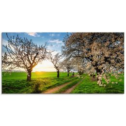 Artland Glasbild &raquo;Kirschallee&laquo; Felder 1 Stk. tlg. in verschiedenen Gr&ouml;&szlig;en gr&uuml;n B/H/T: 60cm x 30cm, Glasbild Felder Querformat, 1 Stk.