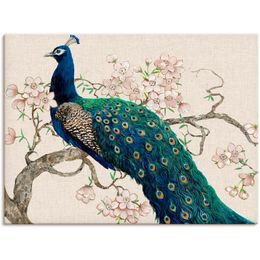 Artland Wandbild &raquo;Pfau & Bl&uuml;ten II&laquo; V&ouml;gel 1 Stk. tlg. als Leinwandbild, Poster in verschied. Gr&ouml;&szlig;en beige B/H/T: 120cm x 90cm, Leinwandbild V&ouml;gel Querformat, 
