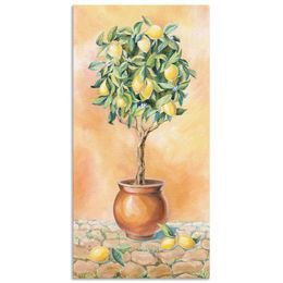 Artland Wandbild &raquo;Zitronenbaum I&laquo; Pflanzen 1 Stk. tlg. als Alubild, Leinwandbild in verschied. Gr&ouml;&szlig;en bunt B/H/T: 30cm x 60cm, Alu-Dibond-Druck Pflanzen, 1 