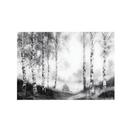 WALLARENA Fototapete Wald in Schwarzwei&szlig; | Gr.: 150 x 105 cm