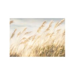 WALLARENA Fototapete Pampasgras in Beige | Gr.: 150 x 105 cm