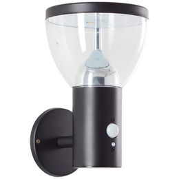 Brilliant LED Au&szlig;en-Wandleuchte &raquo;Tulip&laquo; 1 Stk. Warmwei&szlig; LED Au&szlig;enwandleuchte, Solar, 25 cm, 430 lm, 3000 K, Edelstahl, schwarz schwarz H: 24cm, 1 Stk.