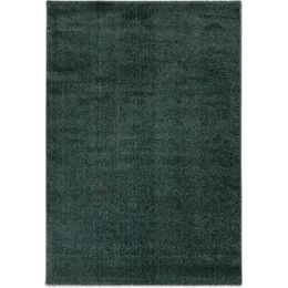 Sch&ouml;ner Wohnen Kollektion SCH&Ouml;NER WOHNEN-Kollektion Teppich &raquo;Pure 250&laquo; rechteckig 21 mm H&ouml;he Indoor, dichter robuster Teppich mit leichtem Glanz, Oeko-Tex gr&uuml;n Polypropylen B :