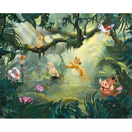 Komar Vliestapete &raquo;Digitaldruck Vlies - Lion King Hakuna Matata - Gr&ouml;&szlig;e 350 x 280 cm&laquo; bedruckt glatt Kinderzimmer bunt Vlies B/L: 350m x 280m, Rollen: 1