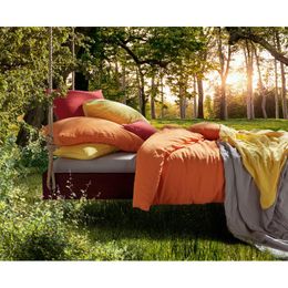 Fleuresse Bettw&auml;sche &raquo;Provence in Gr. 135x200, 155x220 oder 200x200 cm&laquo; 3 Stk. Halbleinen, 50% Baumwolle, 50% Leinen, Gr. 135x200, 155x220, 200x200cm 