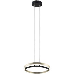 Paulmann LED Pendelleuchte &raquo;Melira LED 24W Gold /Schwarz 230V Metall&laquo; LED-Modul 1 Stk. 3-Step-Dim 1, &Oslash; 38cm H: 120cm, 1 Stk.