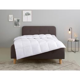 OTTO home Federbettdecke &raquo;Irah Bettdecke 135x200 cm, 155x220 cm und 200x200 cm&laquo; warm F&uuml;llung 50% Daunen & 50% Federn 1 Stk. tlg. Bettdecken, Fr&uuml;hling,