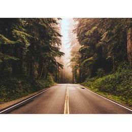 Livingwalls living walls Fototapete &raquo;Designwalls Road Trip&laquo; glatt Vlies, Wand, Schr&auml;ge, Decke gr&uuml;n Vlies B/L: 3,5m x 2,55m