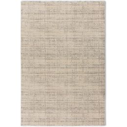 Astra Teppich &raquo;Maglie 251&laquo; rechteckig 13 mm H&ouml;he Kurzflor, Indoor, Oeko-Tex beige Polyester, Polypropylen B : 200cm 1 Stk., 13mm, L: 290cm