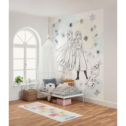 Komar Kindertapete &raquo;Disney Frozen Sketch Sisters&laquo; bedruckt glatt wei&szlig; Vlies B/L: 200m, Rollen: 1