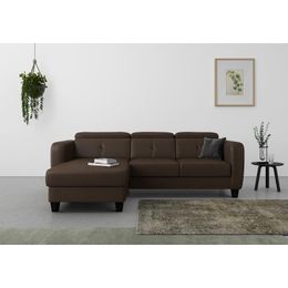 Sit & More sit&more Ecksofa &raquo;Belluci L-Form&laquo; inklusive Federkern, wahlweise mit Schlaffunktion und Bettkasten braun B/H/T: 247cm x 85cm x 170cm, Luxus-Microfaser