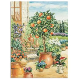 Artland Wandbild &raquo;Orangenbaum im Garten&laquo; Garten 1 Stk. tlg. als Alubild, Leinwandbild in verschied. Gr&ouml;&szlig;en gr&uuml;n B/H/T: 30cm x 40cm, Alu-Dibond-Druck Garten, 1