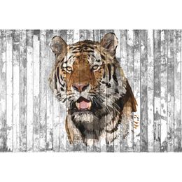 ARCHITECTS PAPER Fototapete &raquo;Atelier 47 Polygon Tiger 2&laquo; Holz glatt Vlies, Wand, Schr&auml;ge, Decke bunt Vlies B/L: 4m x 2,7m