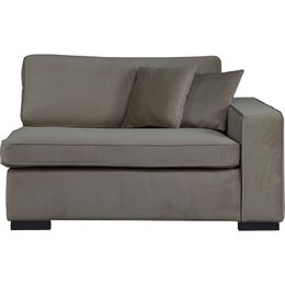 Home Affaire Sofaelement &raquo;Skara XXL&laquo; Modul XXL - zum eigenen Zusammenstellen, Armlehne links/rechts w&auml;hlbar grau 100% Polyester Samtoptik, Armlehne 