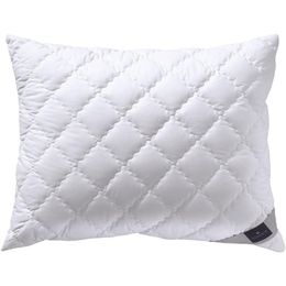 Billerbeck Synthetikkopfkissen &raquo;520 ALCANDO , Kissen bauschkr&auml;ftig&laquo; F&uuml;llung: AIRFLOCKS ; 70% Polyester, 30% Lyocell (Tencel); 1 Stk. tlg. Die 