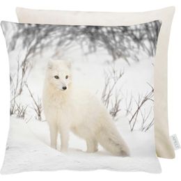 Apelt Dekokissen &raquo;9527&laquo; Wendekissenh&uuml;lle ohne F&uuml;llung, 1 St&uuml;ck beige Baumwolle, Polyester B/L: 46cm x 46cm, 1 Stk.