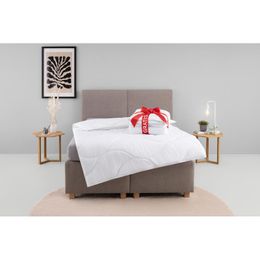 OTTO home Microfaserbettdecke &raquo;Caelan, kaufe eine Decke - erhalte die Leichtbettdecke gratis dazu!&laquo; warm F&uuml;llung 100% Polyester 1 Stk. tlg. Bettdecke 