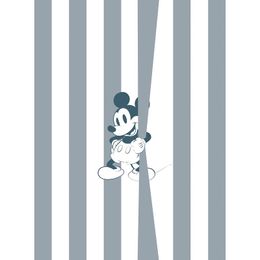 Komar Vliestapete &raquo;Digitaldruck Vlies - Mickey Offbeat - Gr&ouml;&szlig;e 200 x 250 cm&laquo; bedruckt glatt Kinderzimmer bunt Vlies B/L: 200m x 250m, Rollen: 1