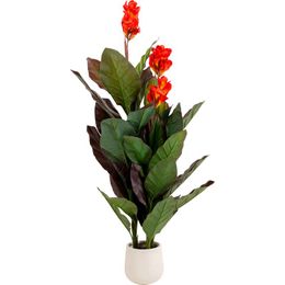KARE K&uuml;nstliche Zimmerpflanze &raquo;Deko-Pflanze Canna Lily&laquo; 115 oder 165 cm H&ouml;he gr&uuml;n Kunststoff, Polyester, Stahl B/H/L: 55cm x 165cm x 55cm