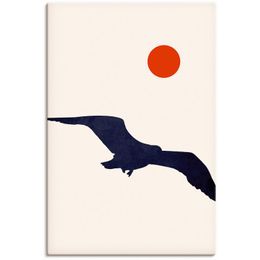 Artland Leinwandbild &raquo;M&ouml;we&laquo; Vogelbilder 1 Stk. tlg. auf Holzrahmen gespannt wei&szlig; Leinwand B/H/T: 40cm x 60cm, Leinwandbild Vogelbilder Hochformat, 1 Stk.