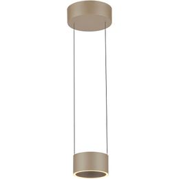 Neuhaus PURE LED Pendelleuchte &raquo;PURE Clipse&laquo; LED-Board 1 Stk. warmwei&szlig; - kaltwei&szlig; Comfort Lift, CCT, dimmbar &uuml;ber Fernbedienung beige 2, &Oslash; 15cm H: 