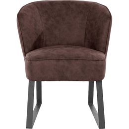 exxpo - sofa fashion Sessel &raquo;Americano, Loungesessel&laquo; mit Keder und Metallf&uuml;&szlig;en, Bezug in verschiedenen Qualit&auml;ten, 1 Stck. braun Microfaser 