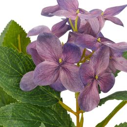 Creativ green Kunstpflanze &raquo;Hortensie paniculata&laquo; mit 8 Real-Touch-Bl&uuml;ten Obermaterial: 80% Kunststoff, 20% Polyester B/H/L: 45cm, 1 Stk.
