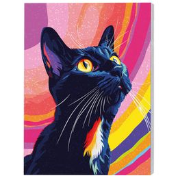 buttinette Diamond Painting "Katze", 30 x 40 cm