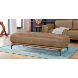 W.Schillig Hocker &raquo;montanaa&laquo; mit Metallf&uuml;&szlig;en in Schwarz pulverbeschichtet, Breite 141 cm braun B/H/T: 141cm x 42cm x 61cm, Longlife Xtra-Leder Z69