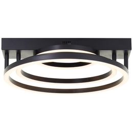 Brilliant LED Deckenleuchte &raquo;Pedley&laquo; LED-Modul 1 Stk. Warmwei&szlig; 38 cm, 3800lm, 3000K, dimmbar, schwenkbar, schwarz 1, H: 11cm, 1 Stk.
