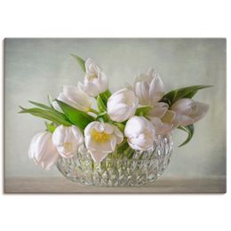 Artland Wandbild &raquo;Wei&szlig;e Tulpen&laquo; Blumen 1 Stk. tlg. als Leinwandbild, Poster in verschied. Gr&ouml;&szlig;en gr&uuml;n Leinwand B/H/T: 90cm x 60cm, Leinwandbild Blumen 