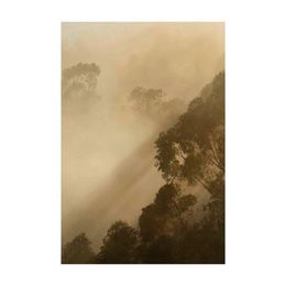 Komar Bild &raquo;Golden Light&laquo; Natur 1 Stk. tlg. Wandbild zur Dekoration - ohne Rahmen bunt Holz, Papier B/H/T: 50cm x 70cm, Natur, 1 Stk.