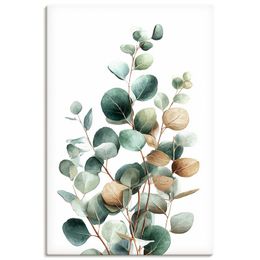 Artland Wandbild &raquo;Eukalyptus&laquo; Bl&auml;tterbilder 1 Stk. tlg. als Alubild, Leinwandbild, Poster, Wandaufkleber in verschied. Gr&ouml;&szlig;en Leinwand B/H/T: 80cm x 120cm, 