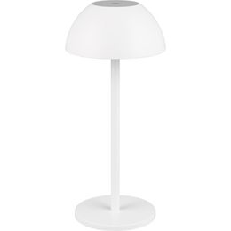 REALITY LEUCHTEN LED Au&szlig;en-Tischleuchte &raquo;RICARDO Tischleuchte (St&uuml;ck)&laquo; LED-Board 1 Stk. Warmwei&szlig; Outdoor Akku Tischlampe Pilzdesign, USB-C, 4-fach 