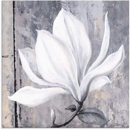 Artland Glasbild &raquo;Klassische Magnolie&laquo; Blumen 1 Stk. tlg. in verschiedenen Gr&ouml;&szlig;en grau B/H/T: 30cm x 30cm, Glasbild Blumen, 1 Stk.