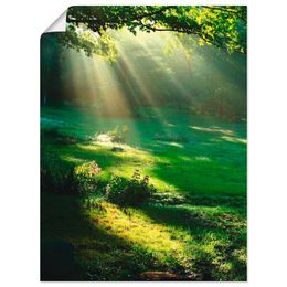 Artland Wandbild &raquo;Lichtkegel&laquo; Wald 1 Stk. tlg. als Leinwandbild, Poster in verschied. Gr&ouml;&szlig;en gr&uuml;n B/H/T: 60cm x 80cm, Poster Wald Hochformat, 1 Stk.