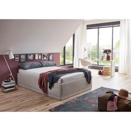 Westfalia Schlafkomfort Polsterbett &raquo;Texel&laquo; Standardh&ouml;he mit Zierkissen, Bettkasten bei Ausf&uuml;hrung mit Matratze beige Bezug Bett: Veloursstoff 100% Polyester oder Microfaser 