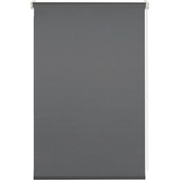 Gardinia Seitenzugrollo &raquo;Uni Klemmrollo&laquo; Lichtschutz Sichtschutz mit Bohren/ohne Bohren freih&auml;ngend Schraubmontage m&ouml;glich grau Polyester 150cm, 