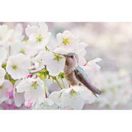 papermoon Fototapete &raquo;Cherra Blossoms&laquo; glatt bunt Vlies B/L: 3m x 2,23m, Bahnen: 6 Stk.