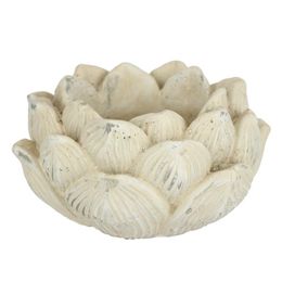 I.GE.A. Pflanzk&uuml;bel &raquo;Antikes Pflanzgef&auml;&szlig; Lotus-Blume&laquo; Blumentopf K&uuml;bel Blumenk&uuml;bel Pflanzgef&auml;&szlig; Blumenst&auml;nder zum Bepflanze beige Beton B/H/T: 17cm x 