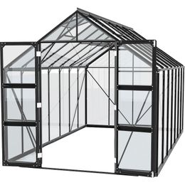 Vitavia Gew&auml;chshaus &raquo;Domus 11500&laquo; Doppelschwingt&uuml;ren und bodentiefer T&uuml;rschwelle, 3 mm Sicherheitsglas schwarz B/H/T: 257cm x 253,9cm x 449cm
